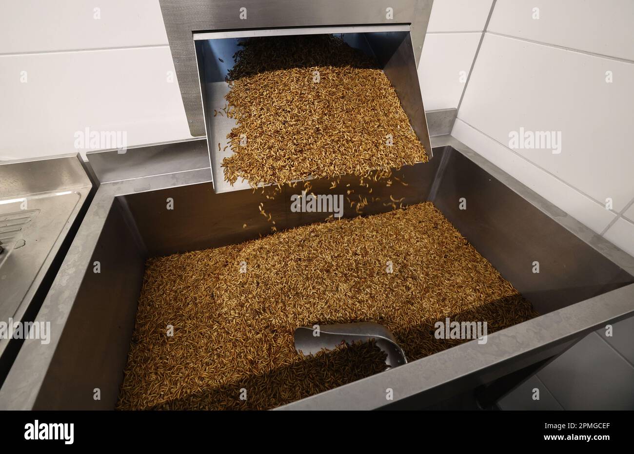 Roggentin, Germany. 13th Apr, 2023. A tour of the start-up company ...