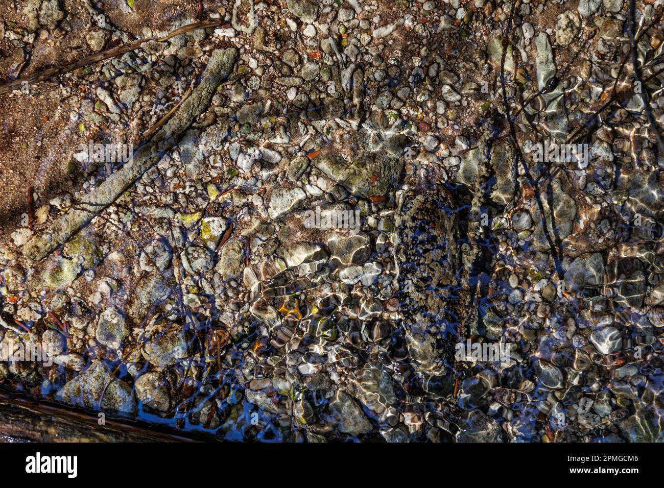 Forest spring water texture and little rocks underwater Stock Photo - Alamy