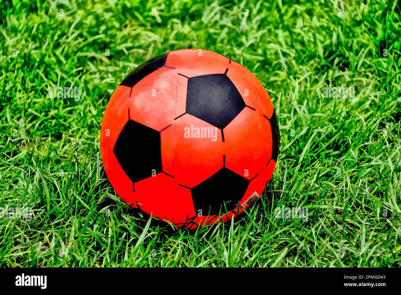 Red ball in green grass hi-res stock photography and images - Alamy