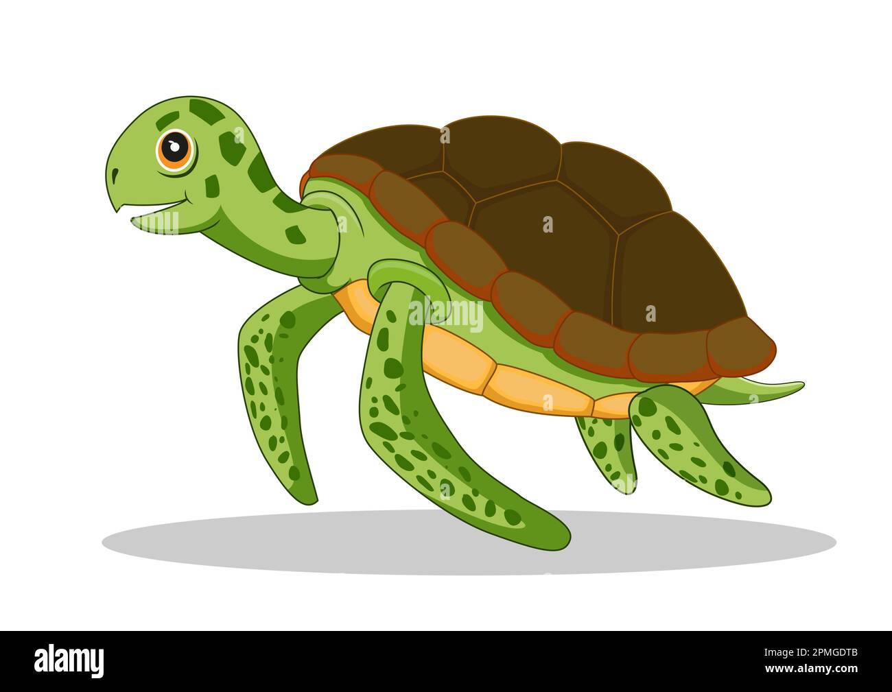 Cartoon turtle isolated on white background Stock Vector Image & Art ...