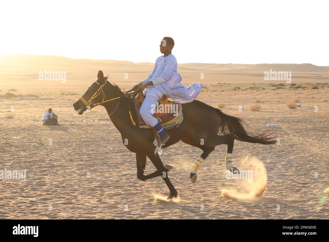 El Mermah, a traditional horse racing competition in Upper Egypt ...