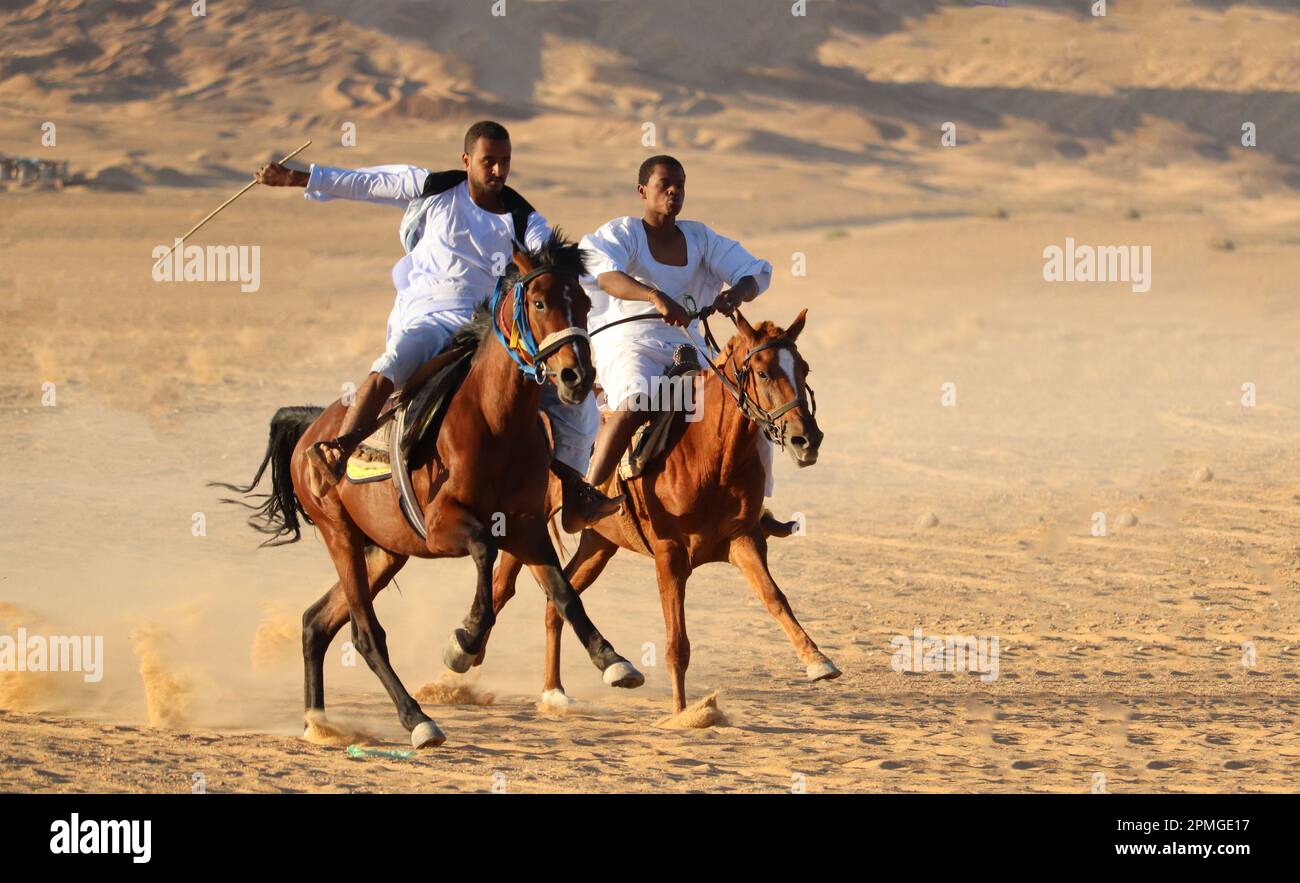 El Mermah, a traditional horse racing competition in Upper Egypt ...