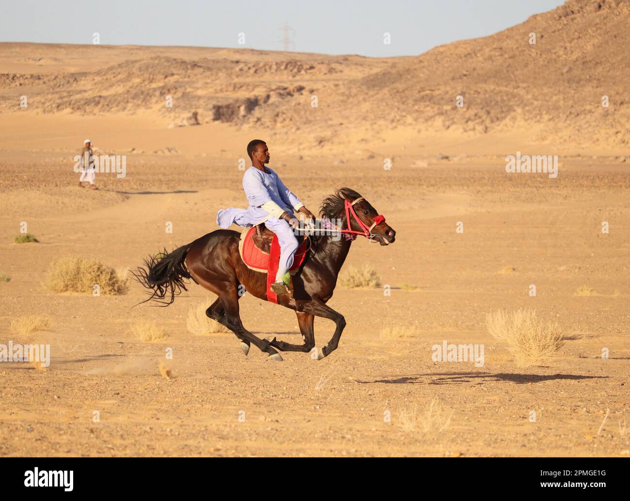 El Mermah, a traditional horse racing competition in Upper Egypt ...