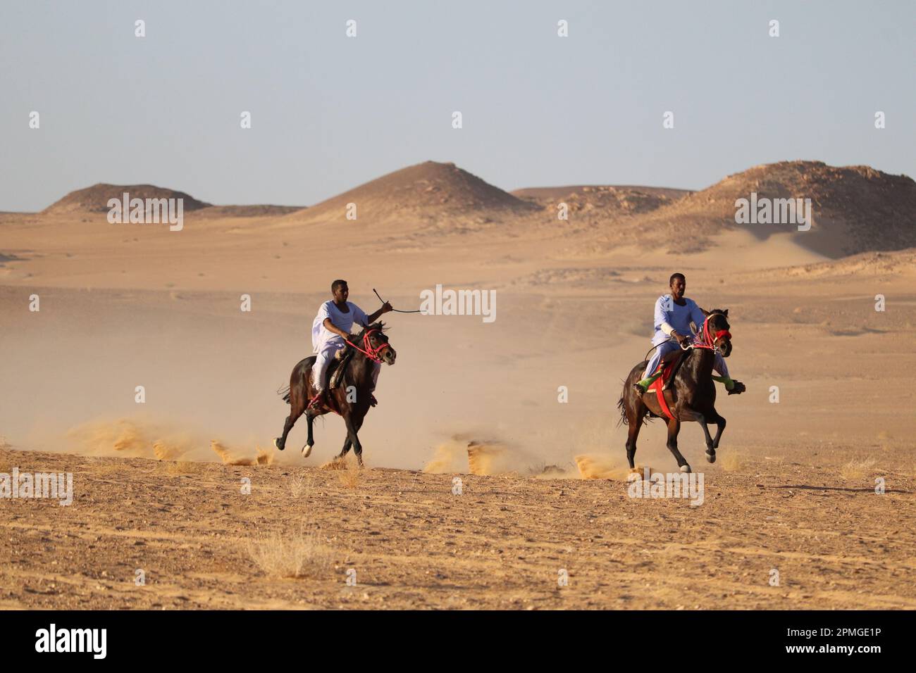 Arab riding horse in desert hi-res stock photography and images - Alamy