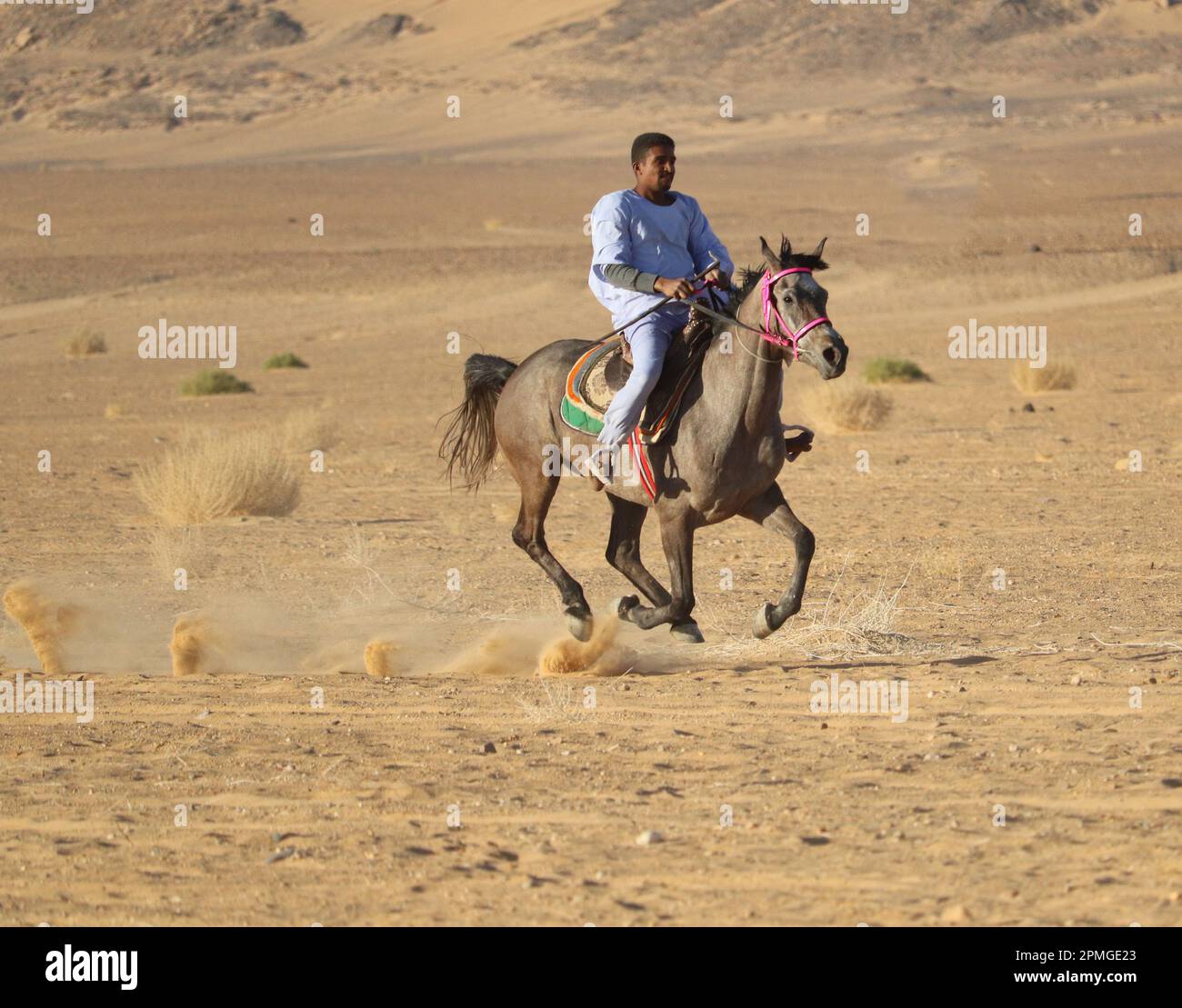 El Mermah, a traditional horse racing competition in Upper Egypt ...