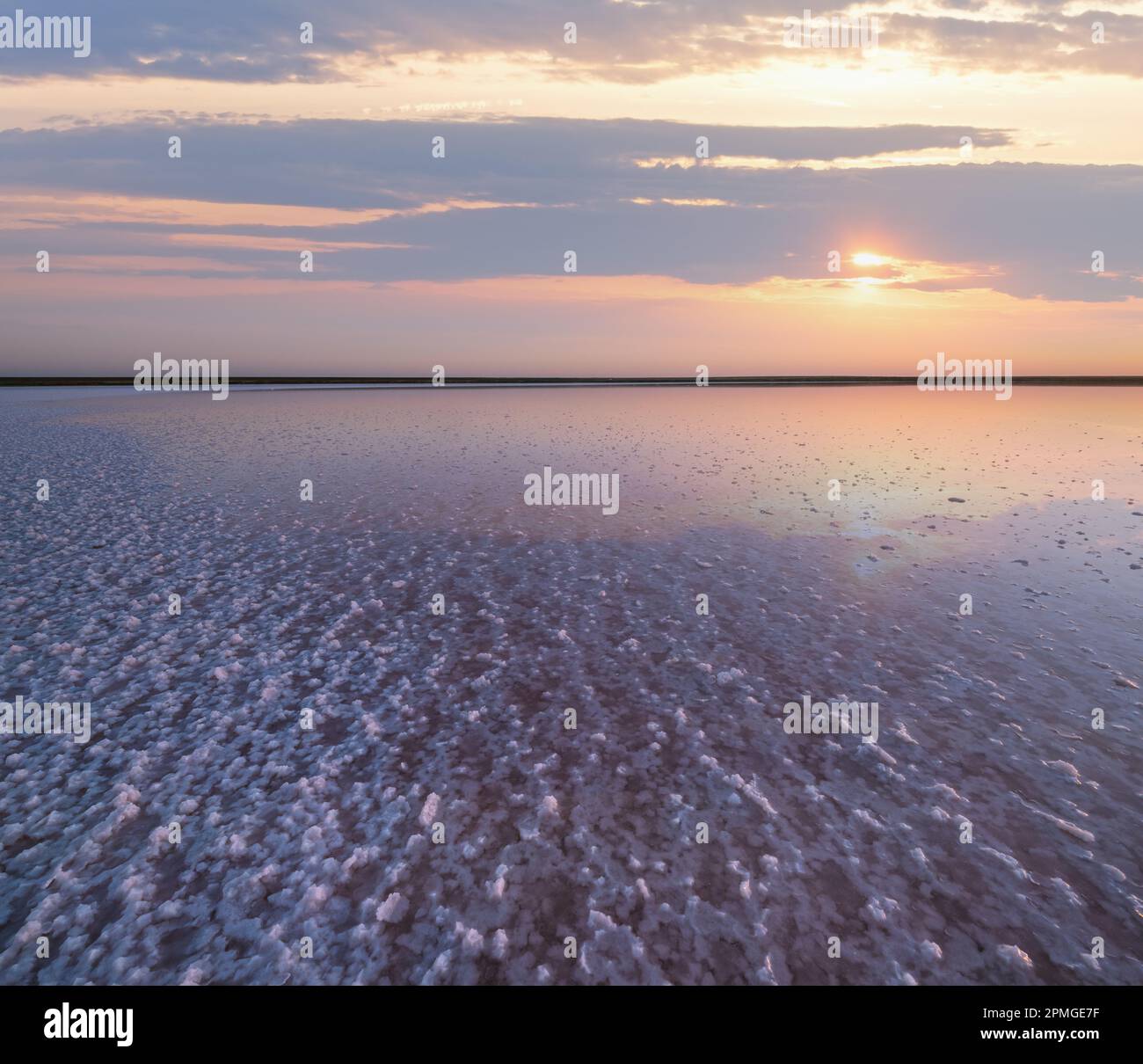 Sunset on the Genichesk pink extremely salty lake (colored by ...