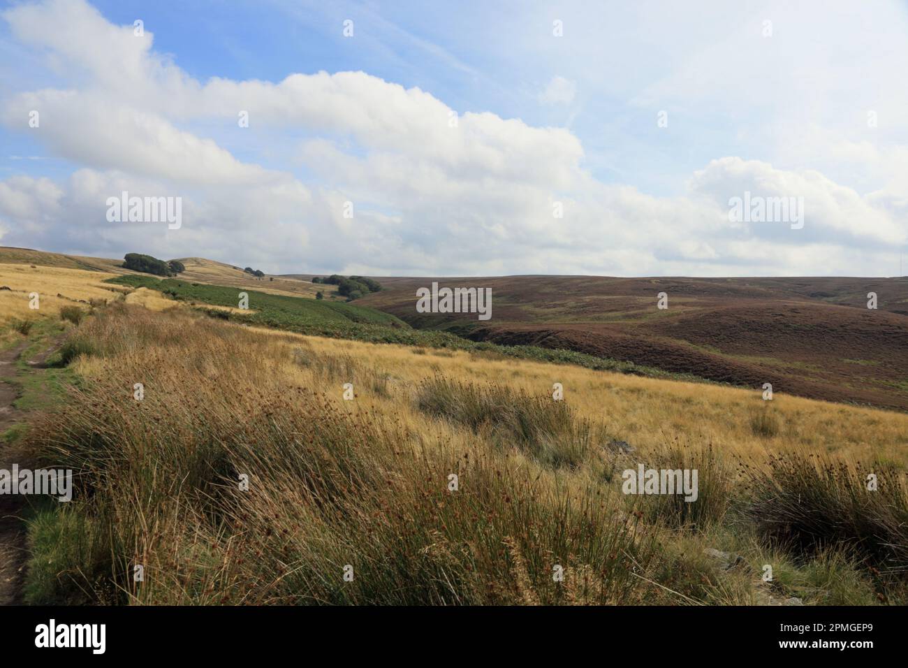 The footpath running between White Coppice and Great Hill following the ...