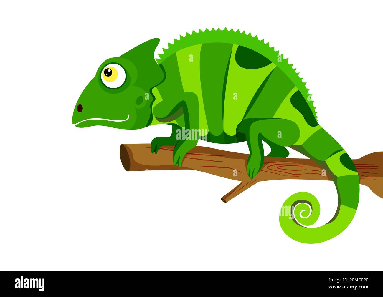 Chameleon lizard standing on a branch stick. Vector illustrator of ...
