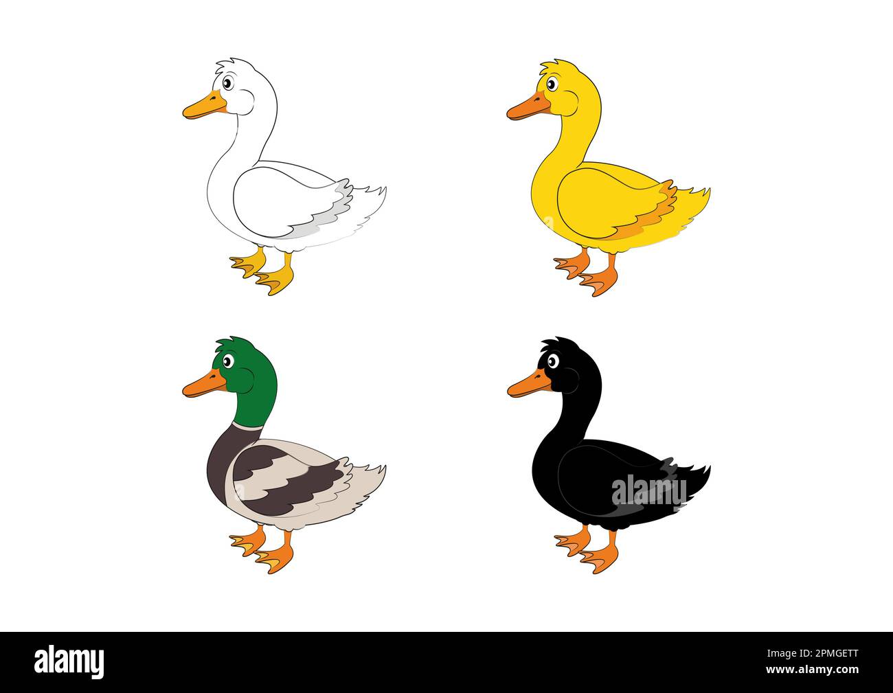Different color ducks. Vector duck Stock Vector Image & Art - Alamy
