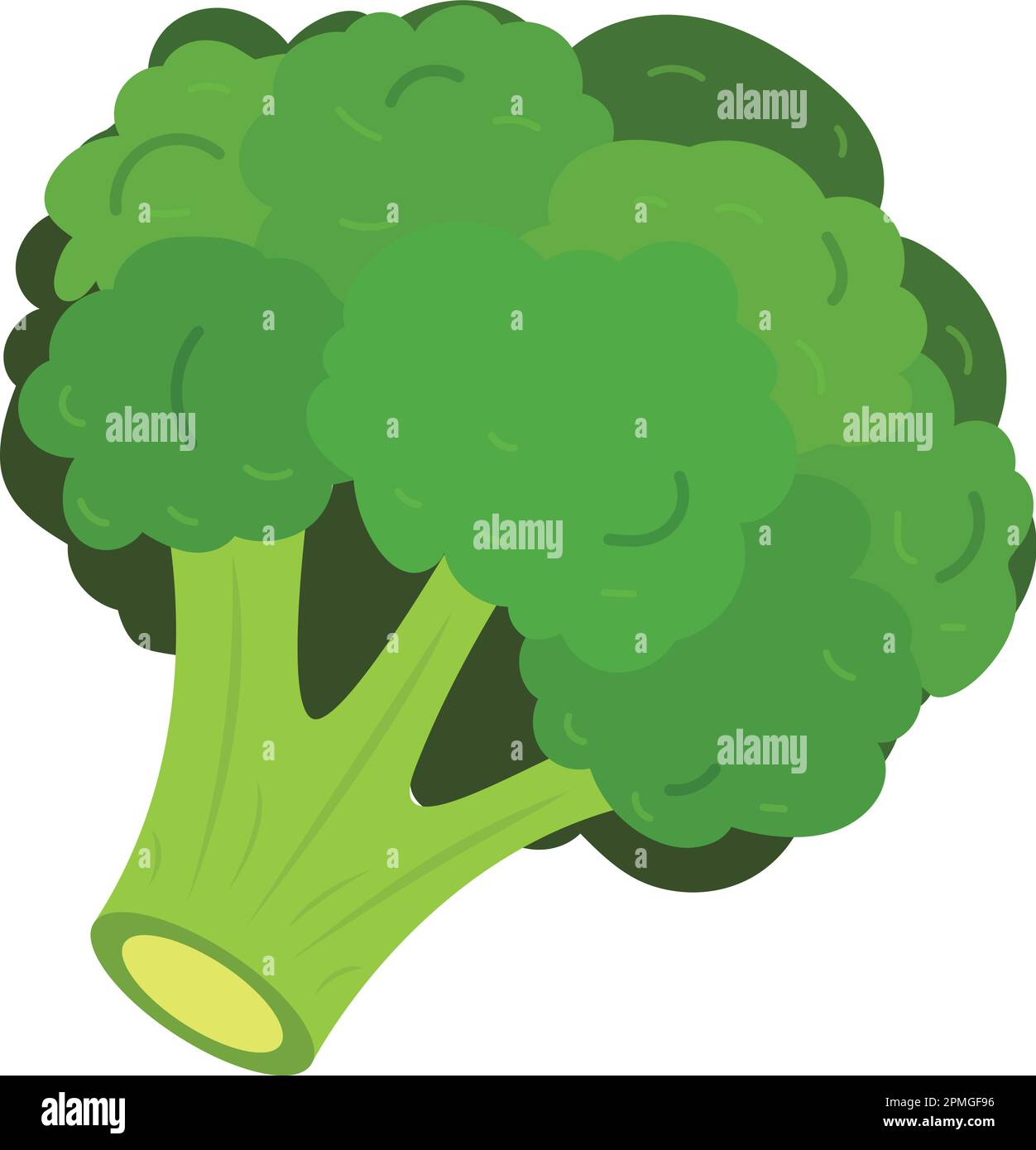 Green broccoli cute cartoon hi-res stock photography and images - Alamy