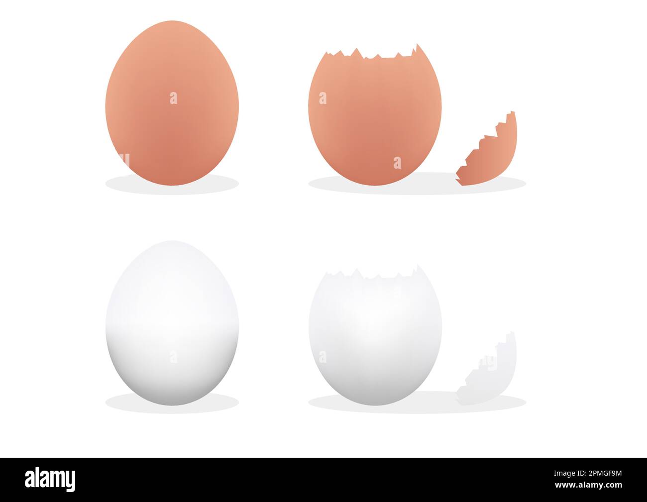 White broken chicken egg Stock Vector Images - Alamy