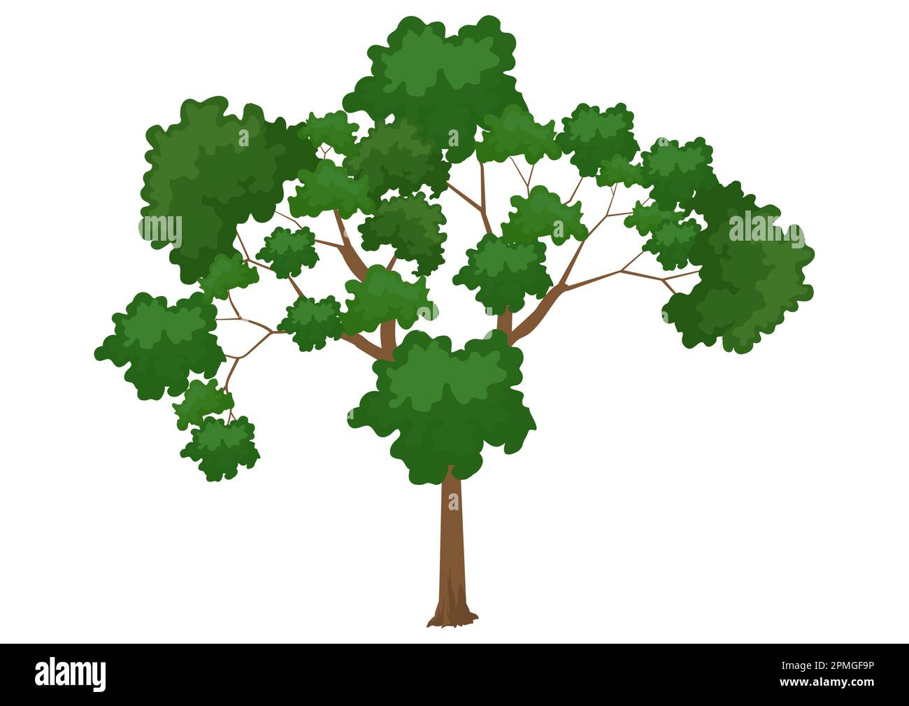 Oak Tree Clip Art Free
