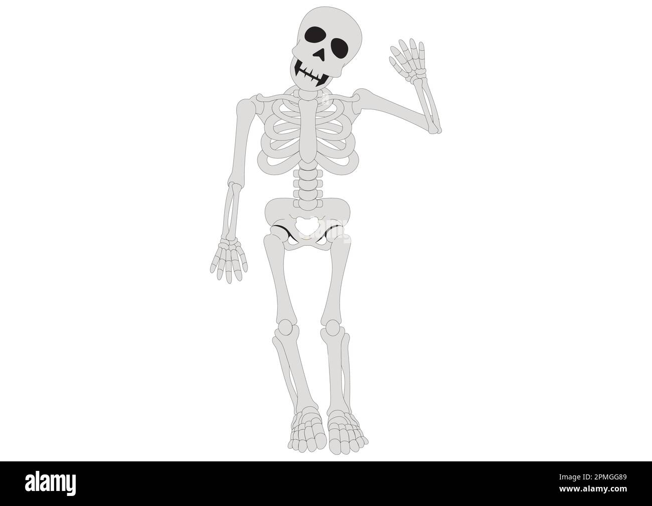 Hello Skeleton. Cartoon Skeleton. Vector illustration of skeleton Stock ...