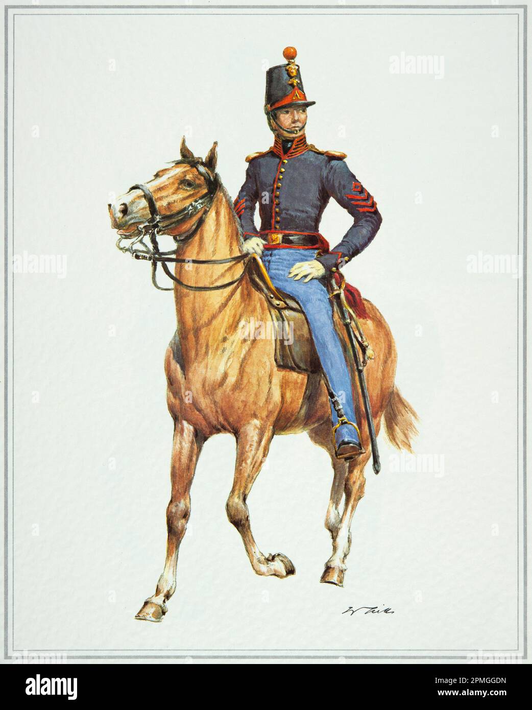 United States of America Light Artillery Sergeant circa 1855 Stock ...