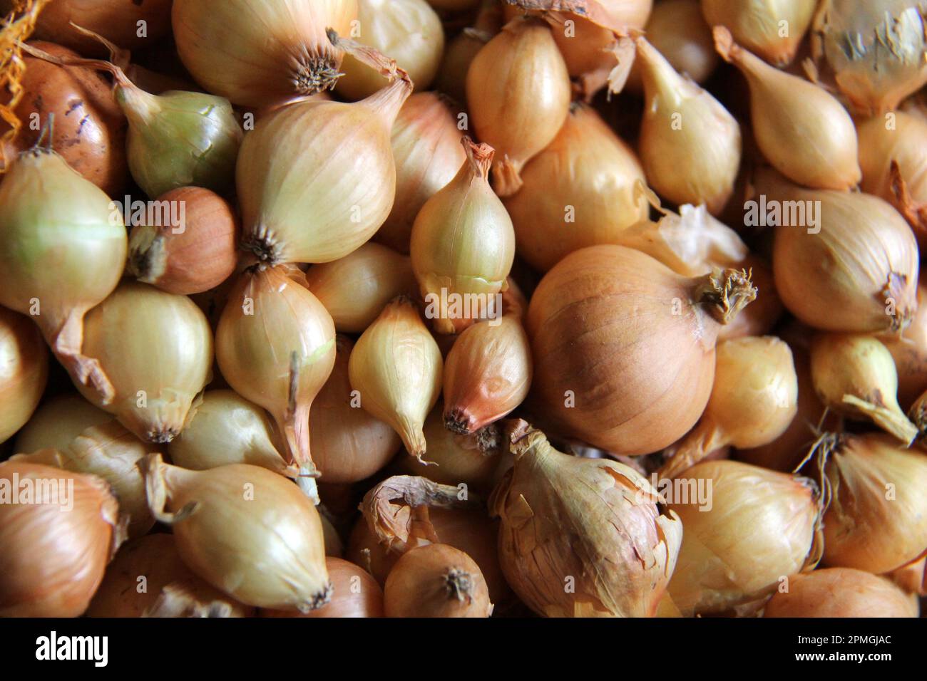 Closeup fresh yellow onions market hi-res stock photography and images ...