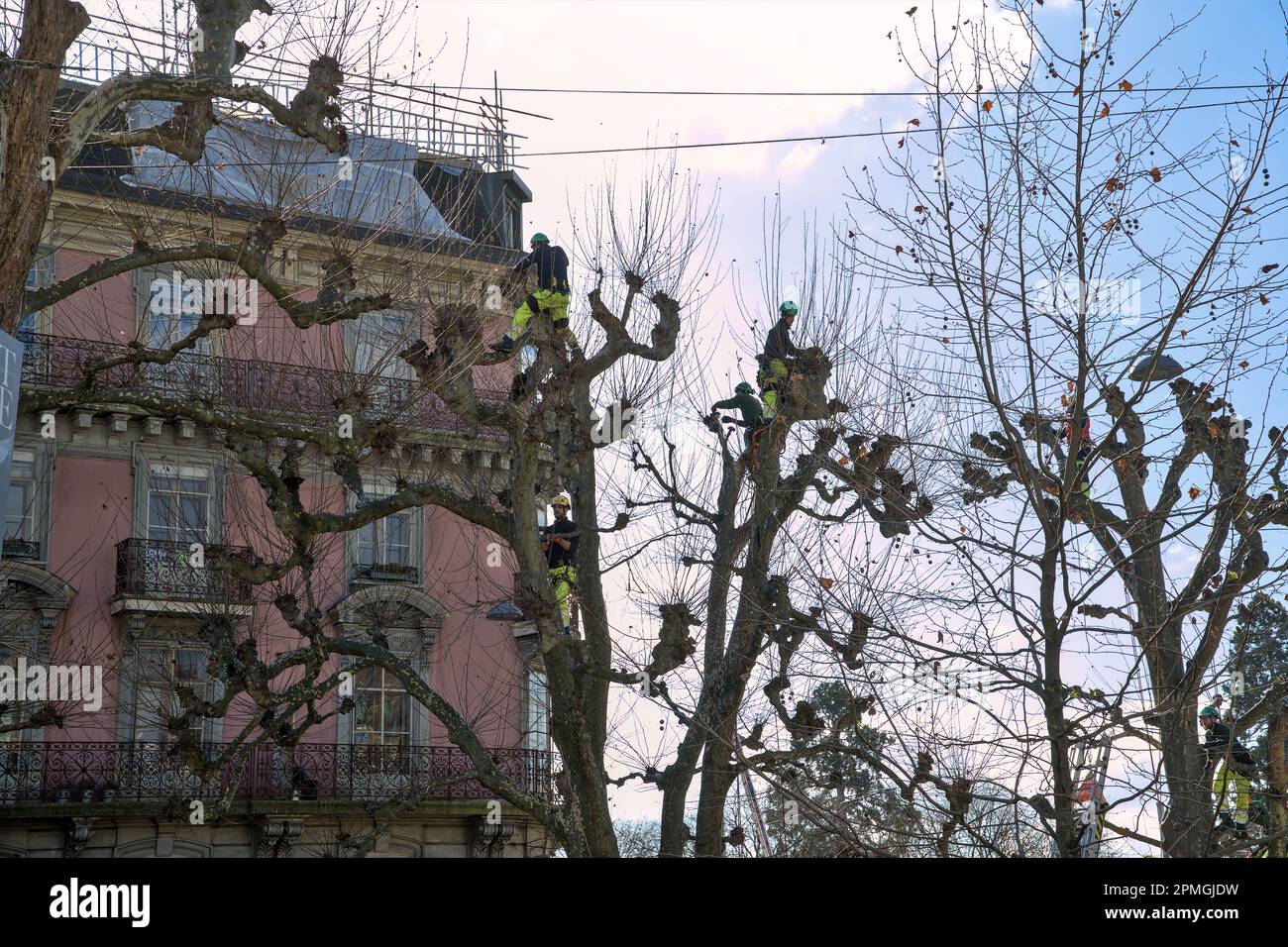 Geneva city employees working on the trees of a small hi-res stock ...