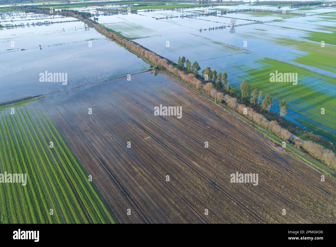aerial view of flooded crop fields, climate change concept Stock Photo ...