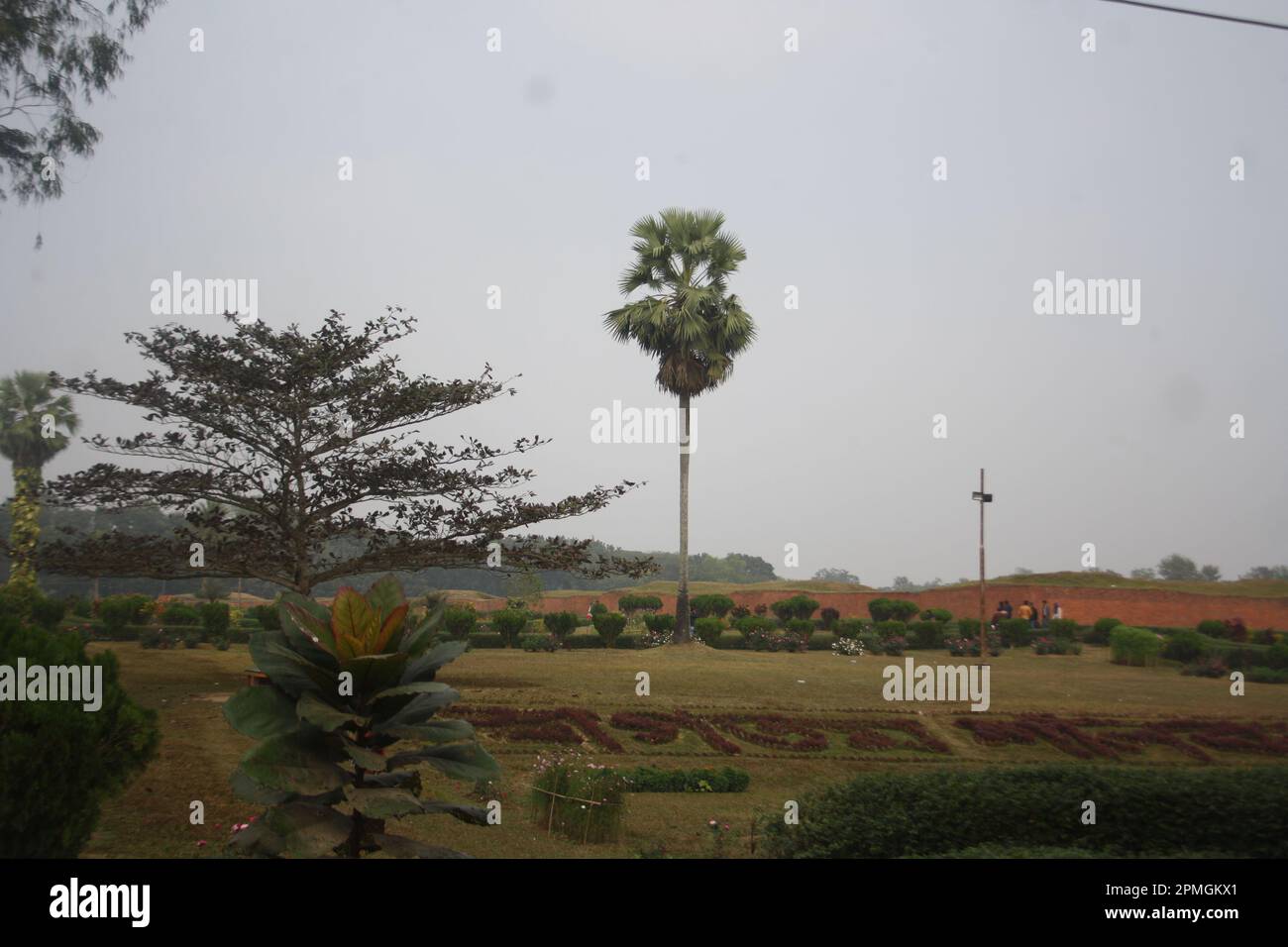 Comilla coat bari Stock Photo - Alamy