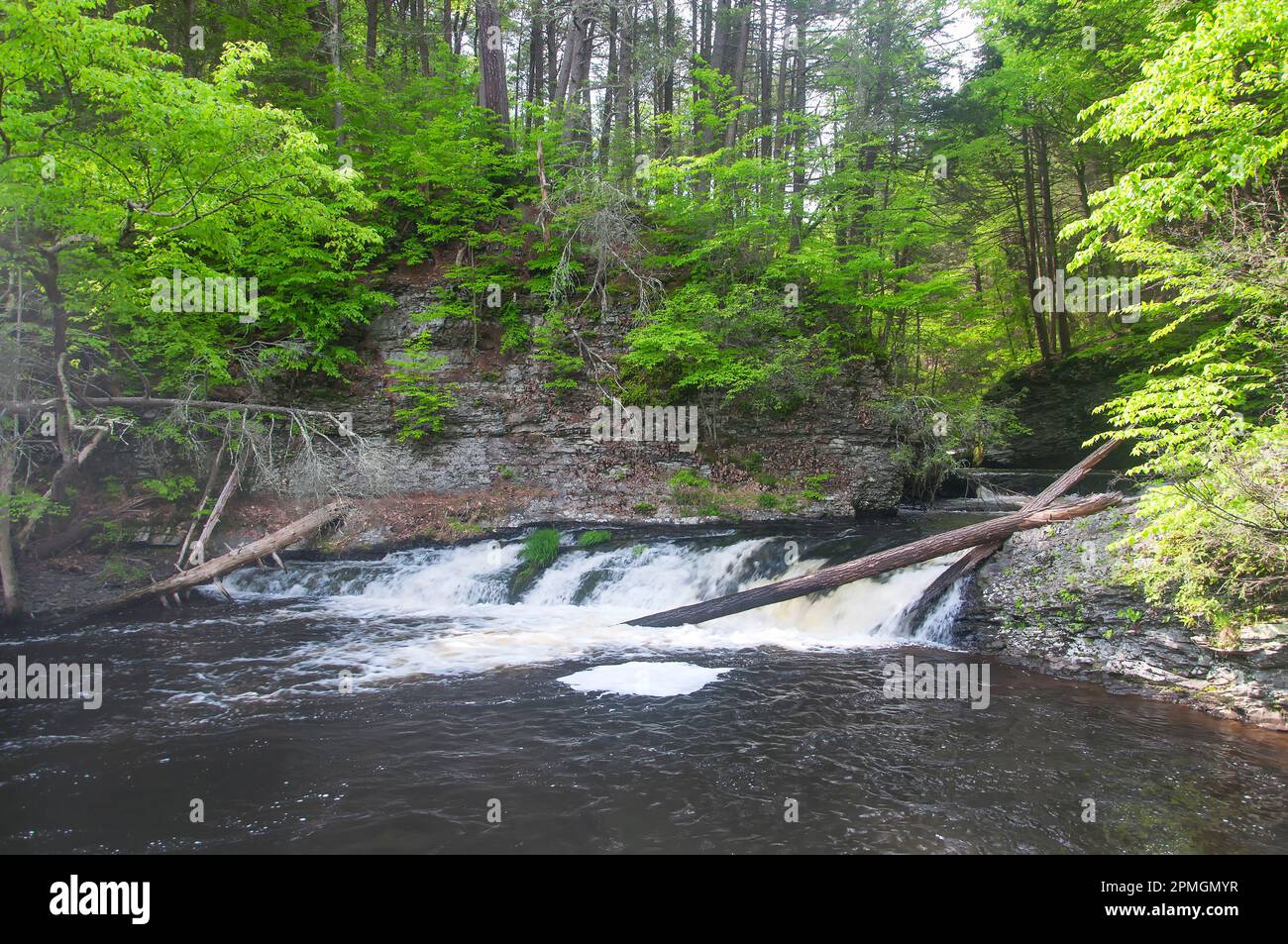 the river leading into Raymondskills Falls in Dingmans ferry ...