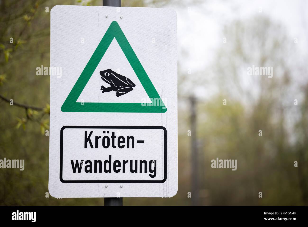Berlin, Germany. 13th Apr, 2023. A sign reading "Toad Migration" in ...