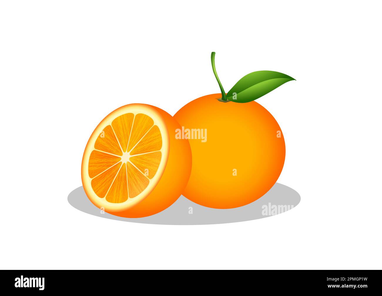 Orange and half orange fruit vector illustration isolated on white ...