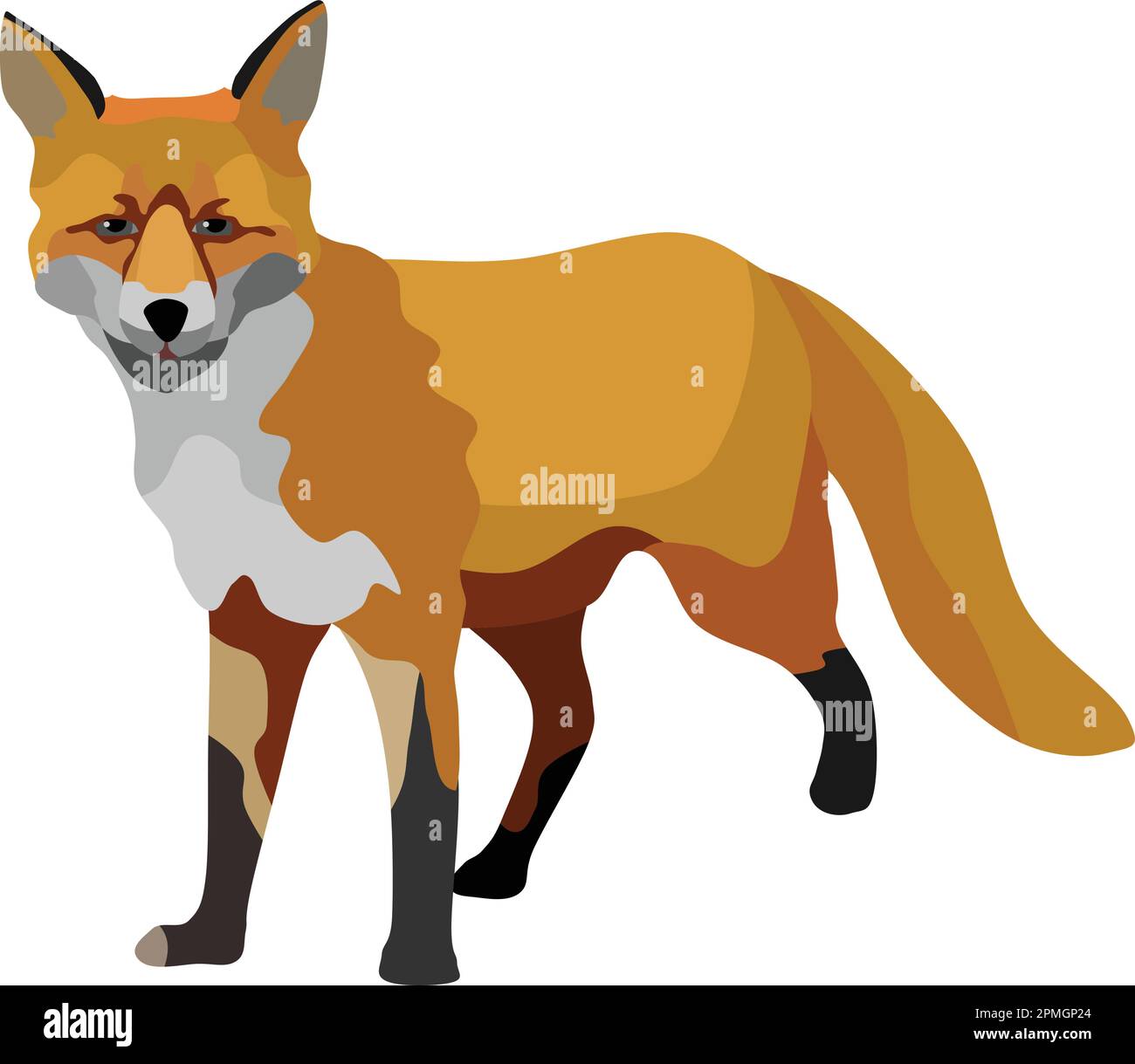 Fox Mammal Animal Vector Stock Vector Image & Art - Alamy