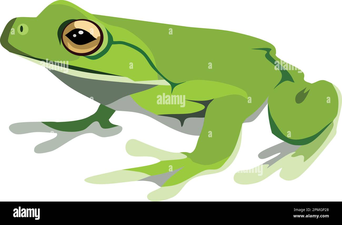 Green Frog Reptile Animal Vector Stock Vector Image & Art - Alamy