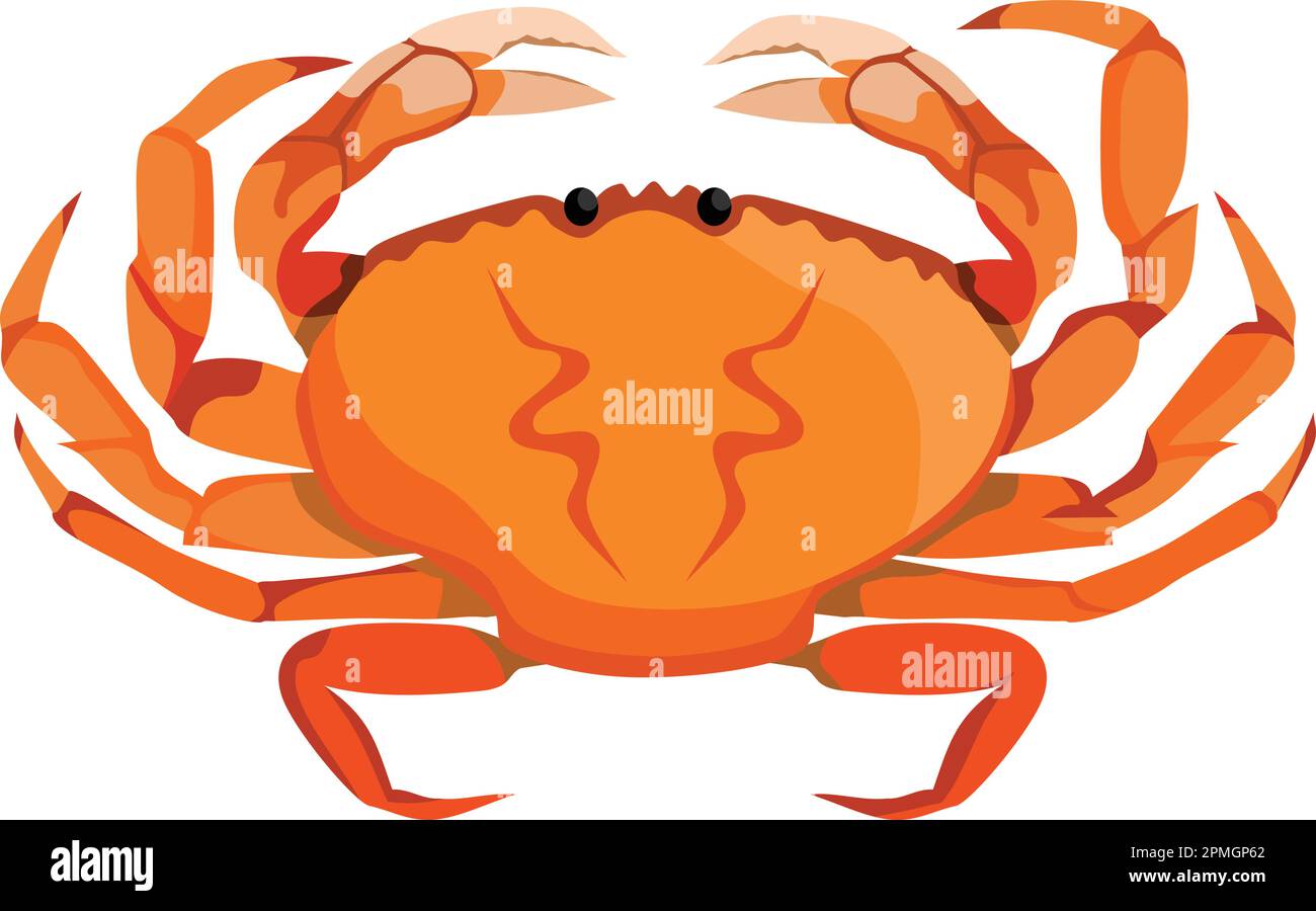 Crab Crustacean Animal Vector Stock Vector Image & Art - Alamy