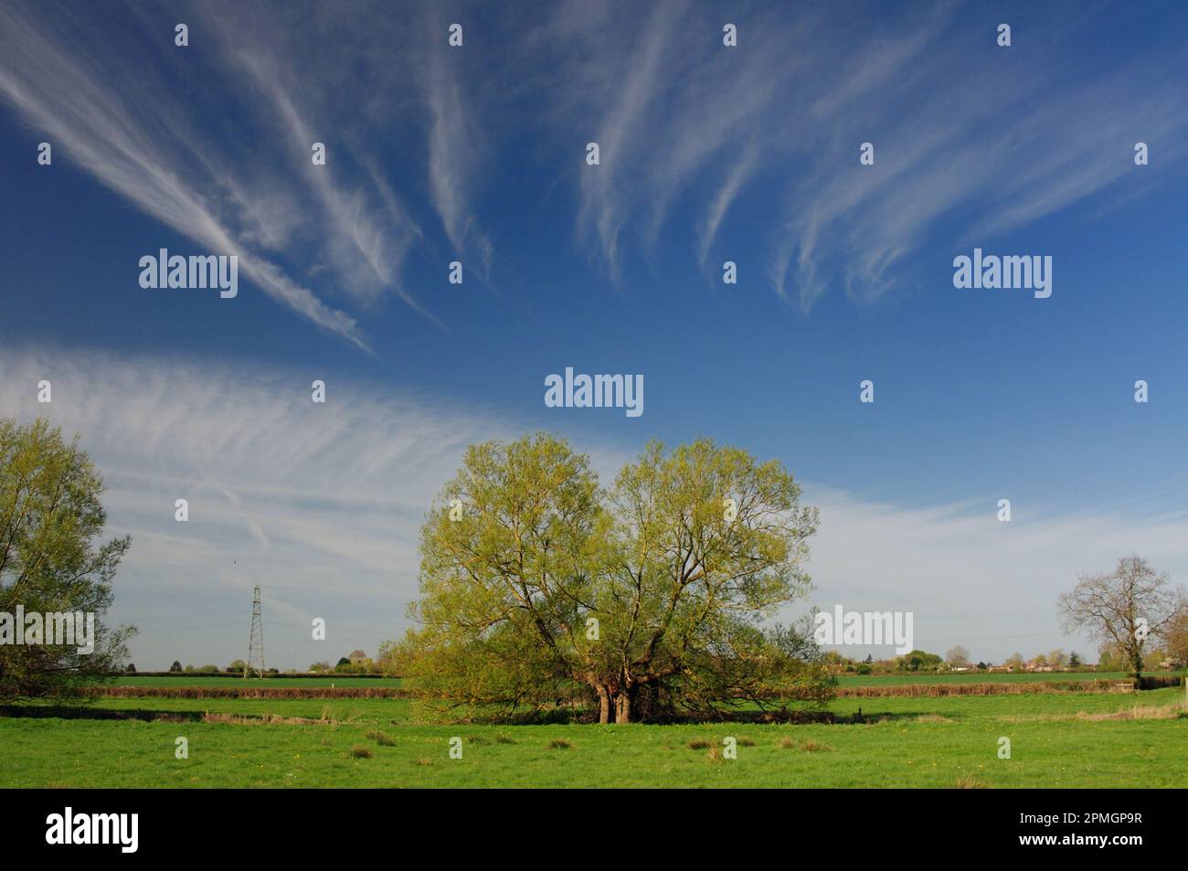 Cloud formation over trees and fields near Poulshot, Wiltshire Stock ...