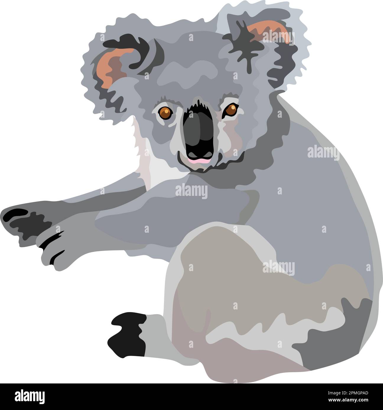 Koala Mammal Animal Vector Stock Vector Image & Art - Alamy