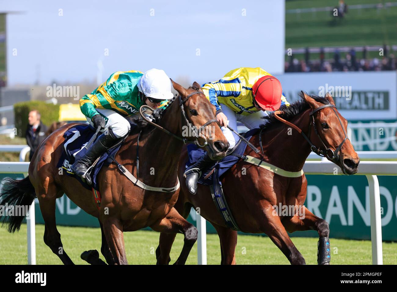 Zenta aintree 2023 hi-res stock photography and images - Alamy