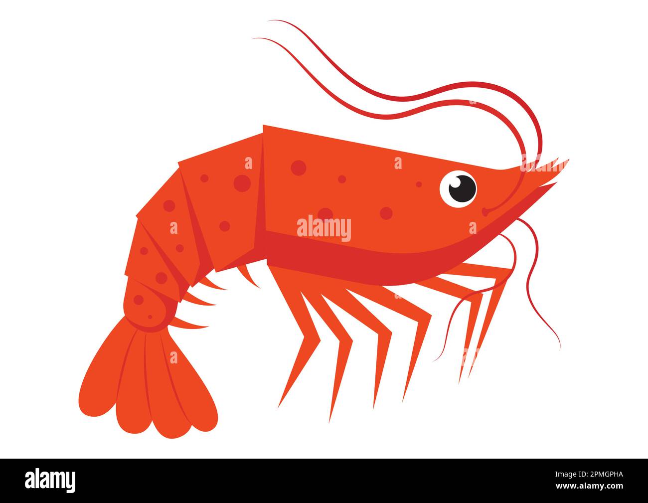Cartoon shrimp hi-res stock photography and images - Alamy