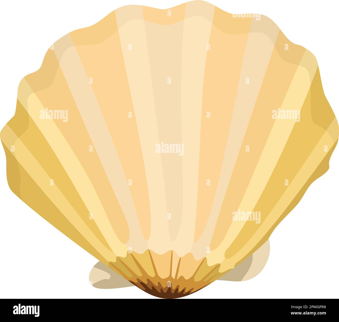 Sea Shell Animal Vector Stock Vector Image & Art - Alamy