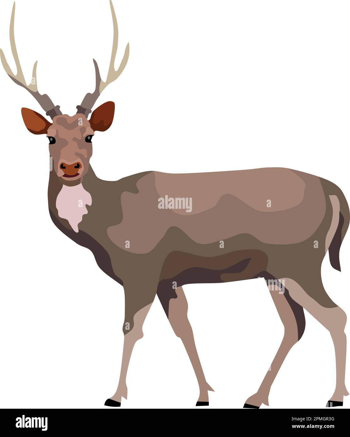 Deer Mammal Animal Vector Stock Vector Image & Art - Alamy