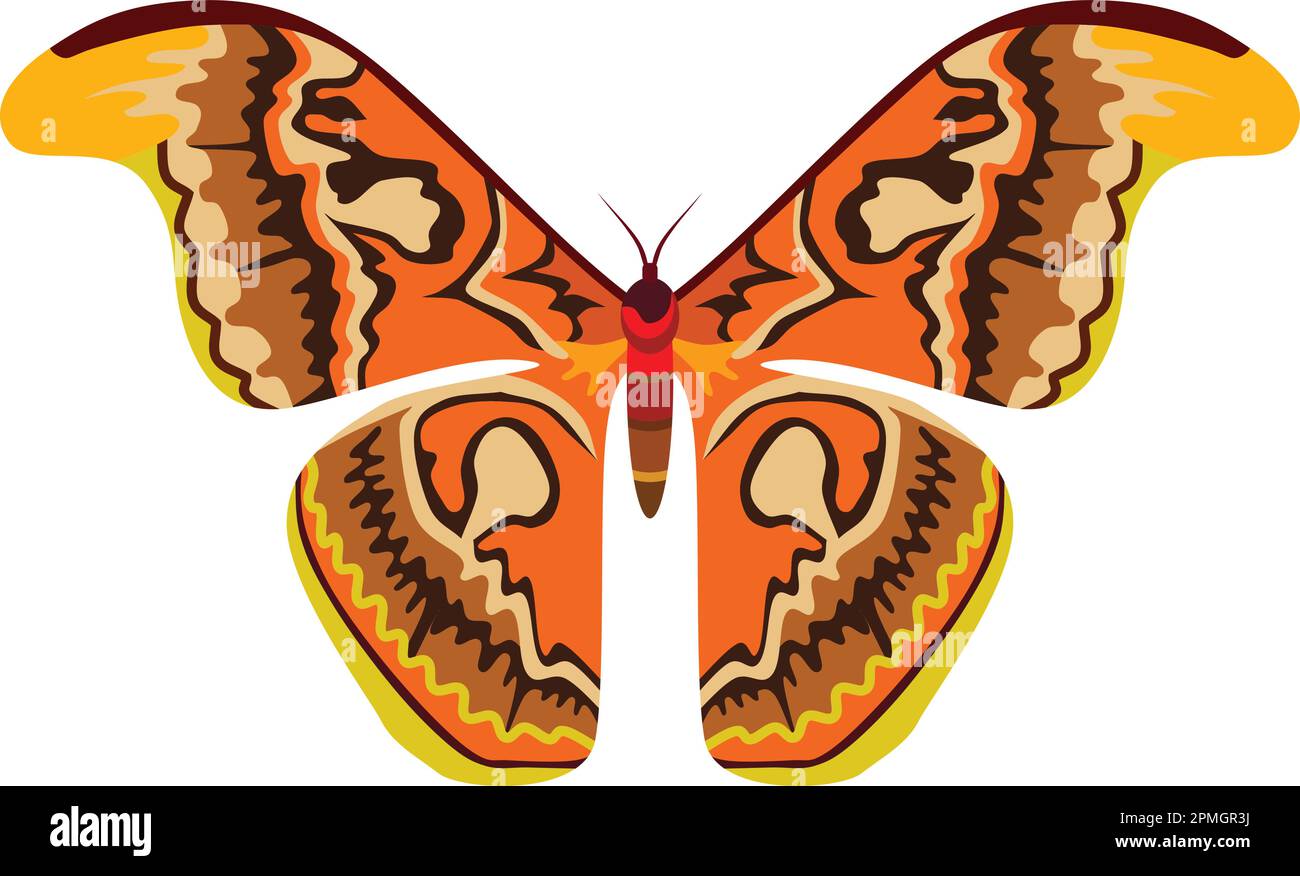 Saturniid Stock Vector Images - Alamy