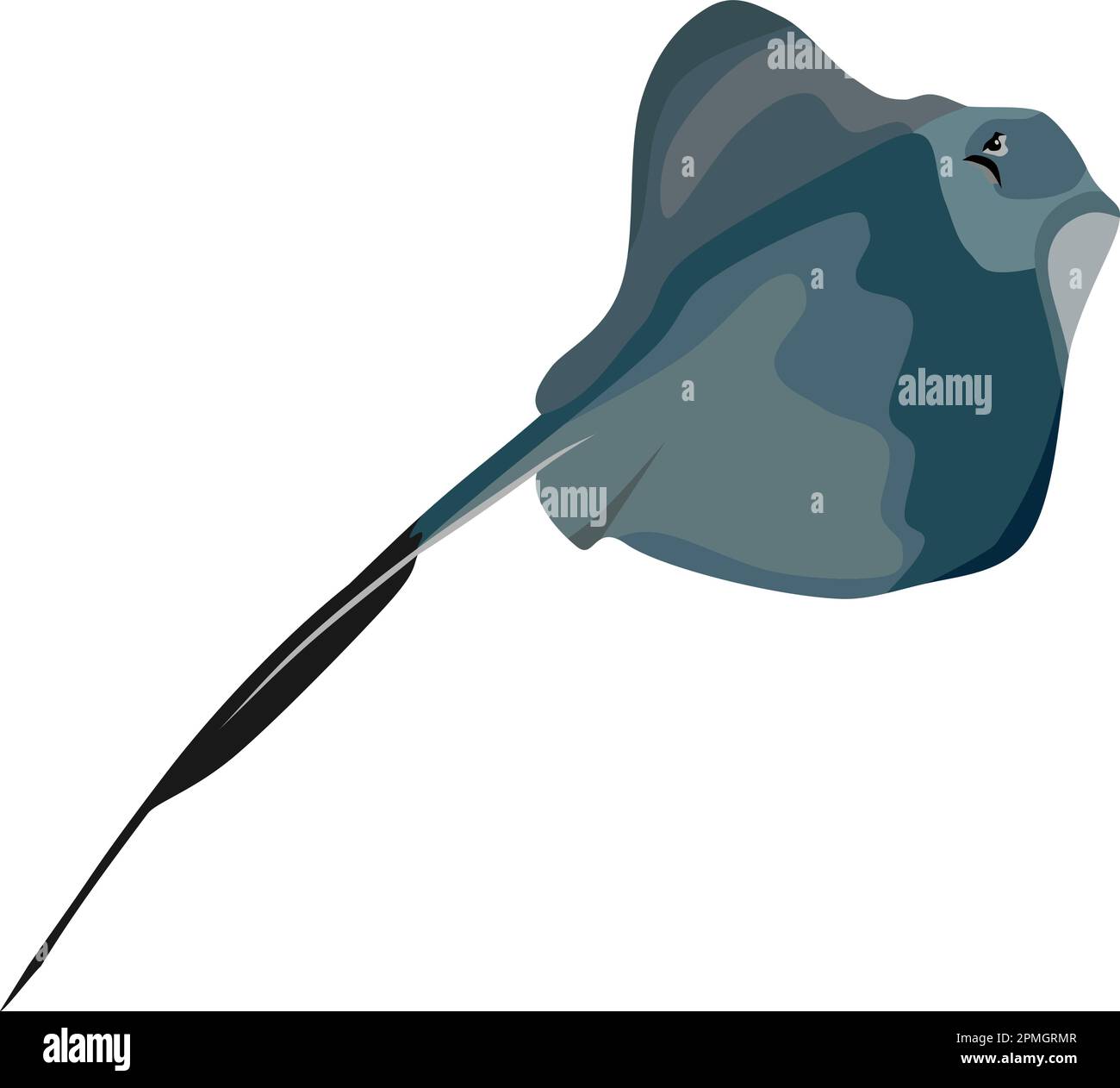 Stingray Fish Animal Vector Stock Vector Image & Art - Alamy