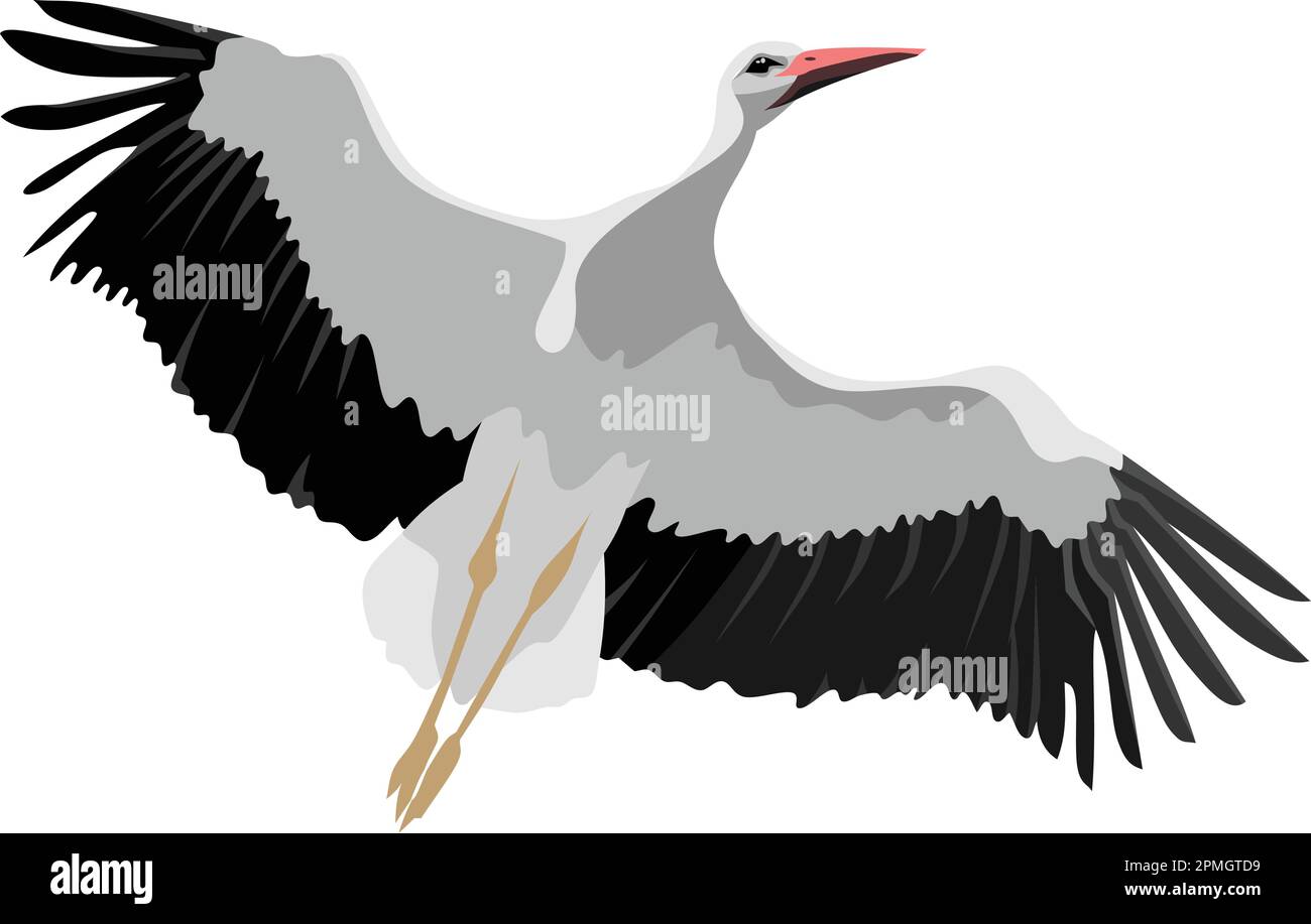 Flying Crane Bird Animal Vector Stock Vector Image & Art - Alamy