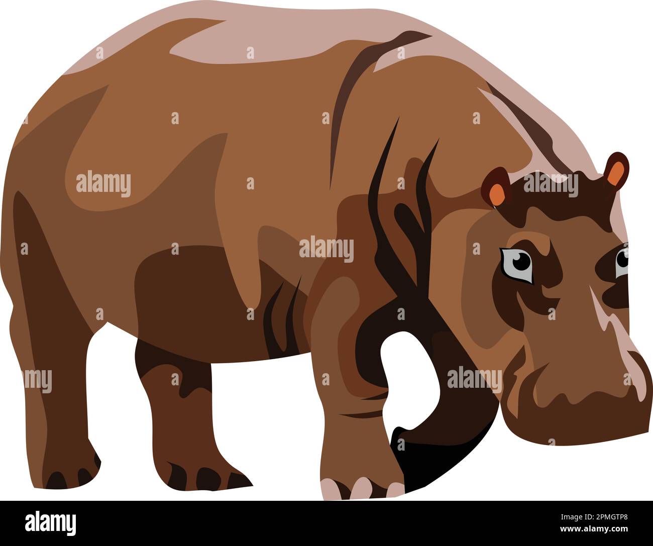 Hippo Mammal Animal Vector Stock Vector Image & Art - Alamy