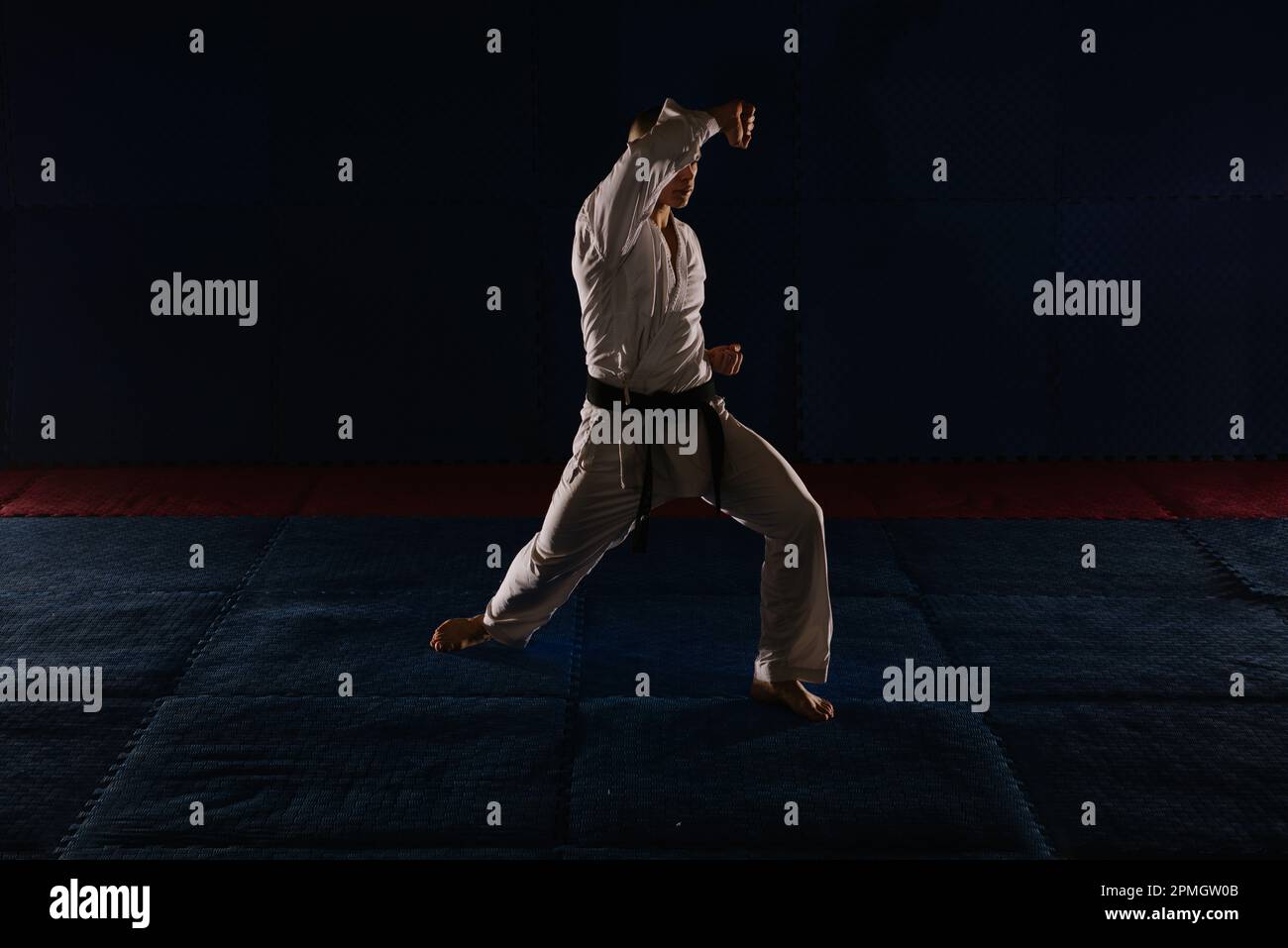 Silhouette of a young karatist doing Age Uke pose at the karate studio ...