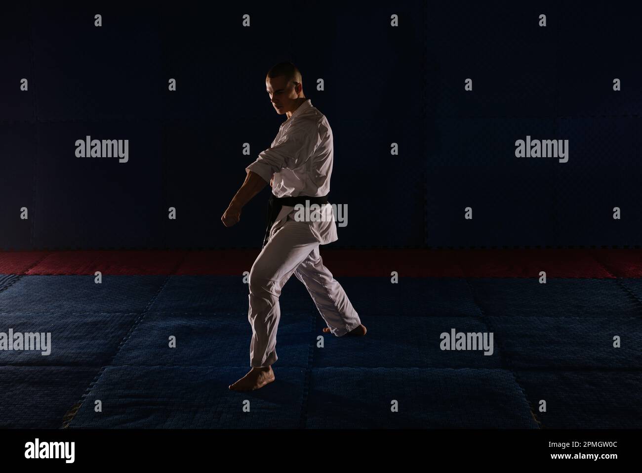 Young handsome karatist doing the Zenkutsu Dachi at the karate studio ...