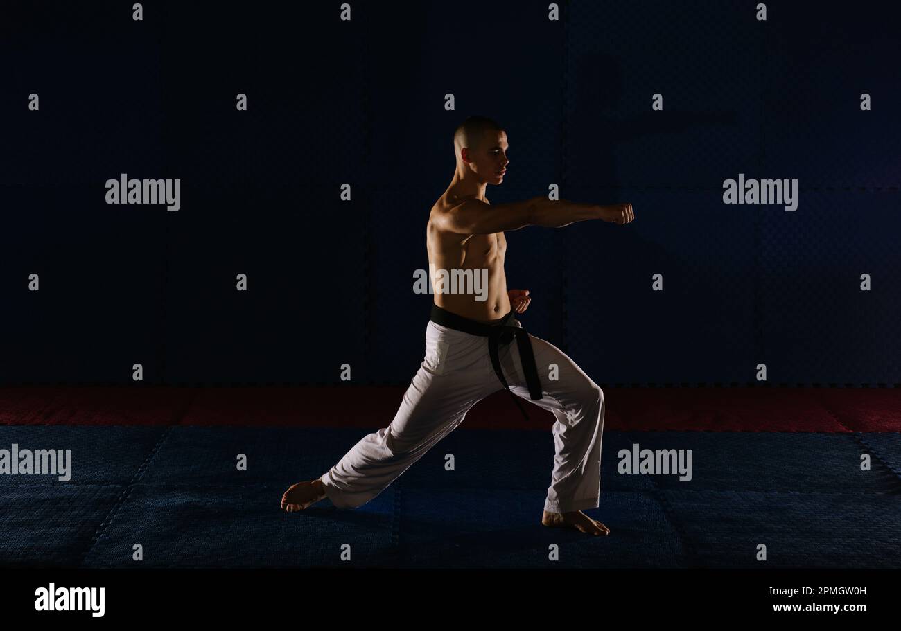 Silhouette of good looking young man doing the Gyaku tsuki pose at the ...
