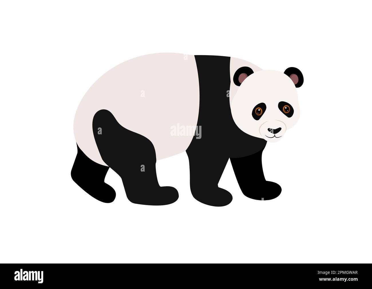 Vector illustration of cartoon panda isolated on white background Stock ...