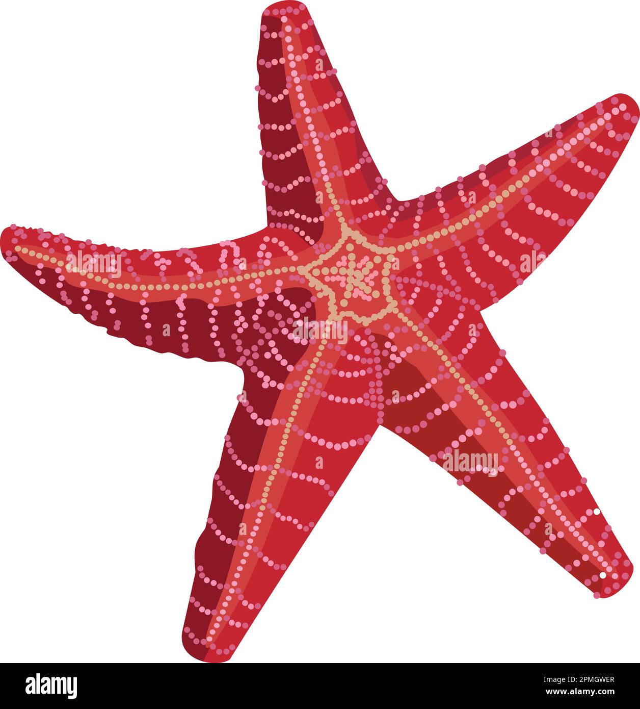 Marine anatomy vector vectors hi-res stock photography and images - Alamy