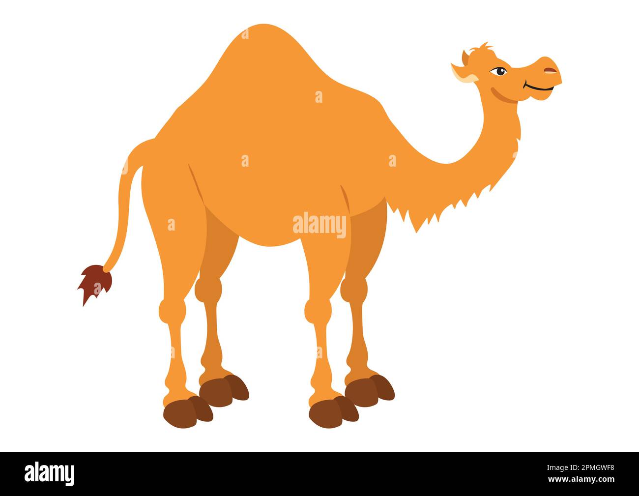 Vector Illustration of Dromedaryl isolated on white background. Clipart ...