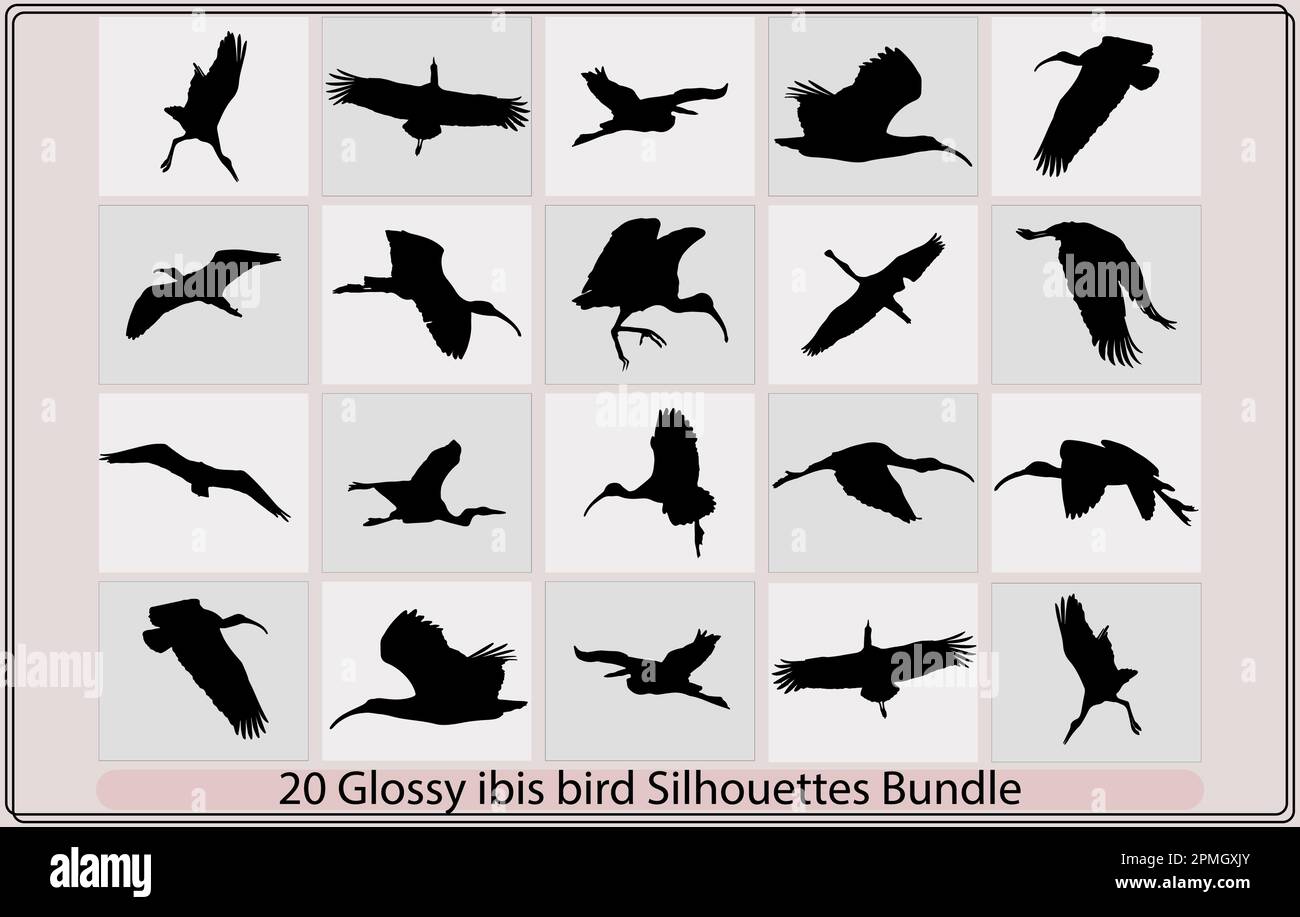 Ibis painting Stock Vector Images - Alamy