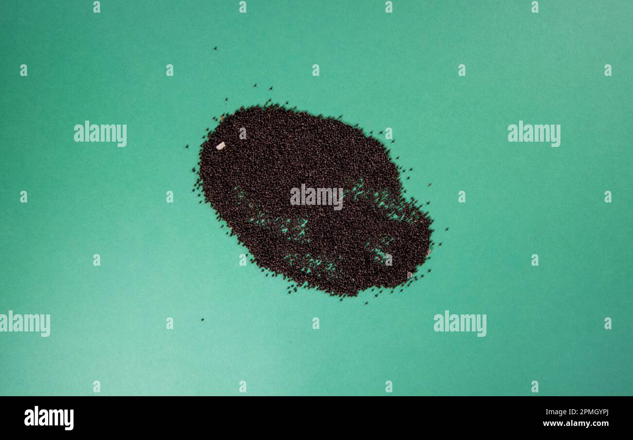 pile of wild poppy seed isolated on a dark green background Stock Photo ...