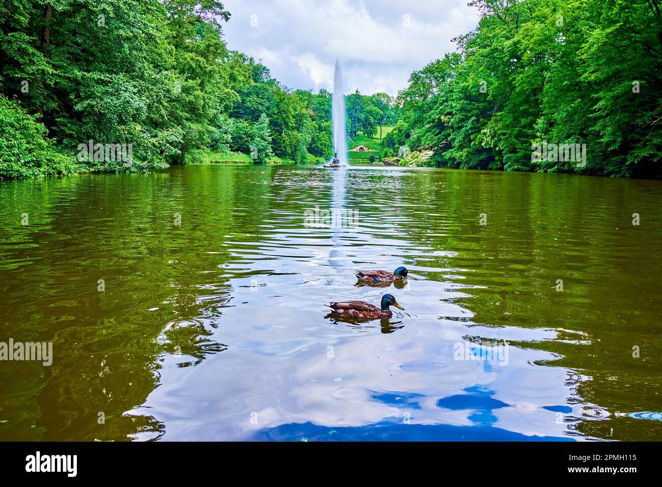 Two wild ducks on Ionian Sea lake and Snake fountain on background in ...
