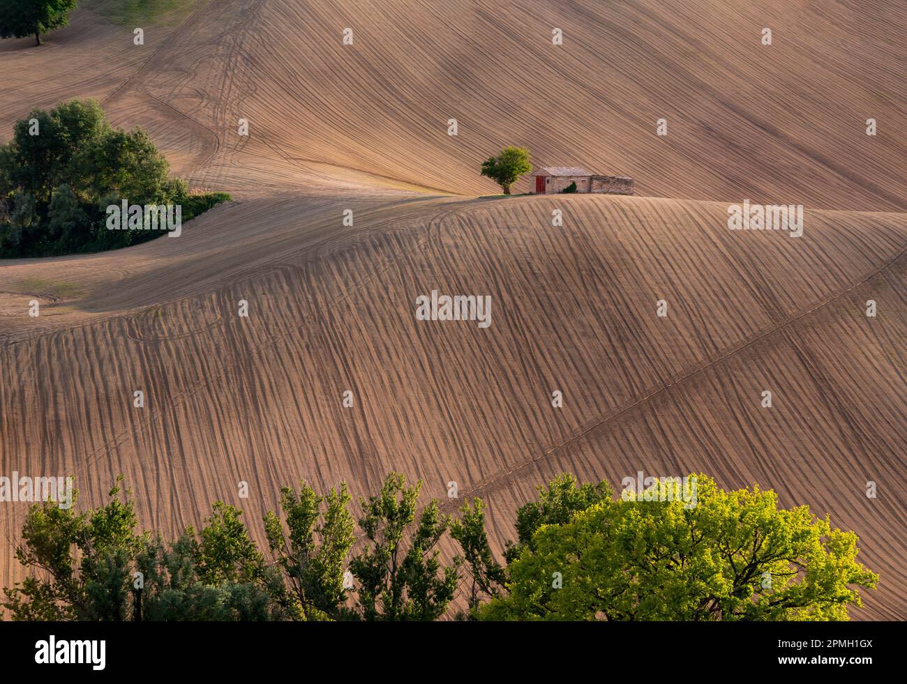 Lone farm house among agricultural fields Stock Photo - Alamy