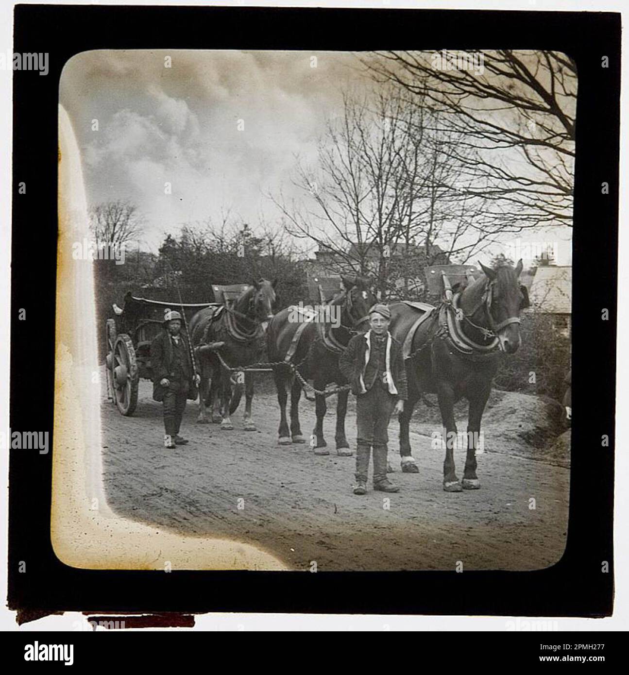 Heavy horses and cart, probably Ireland Stock Photo - Alamy