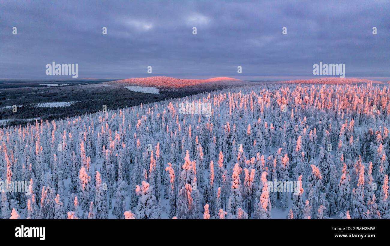 Aerial view of snowy trees and tunturi mountains in Syote, Finland ...